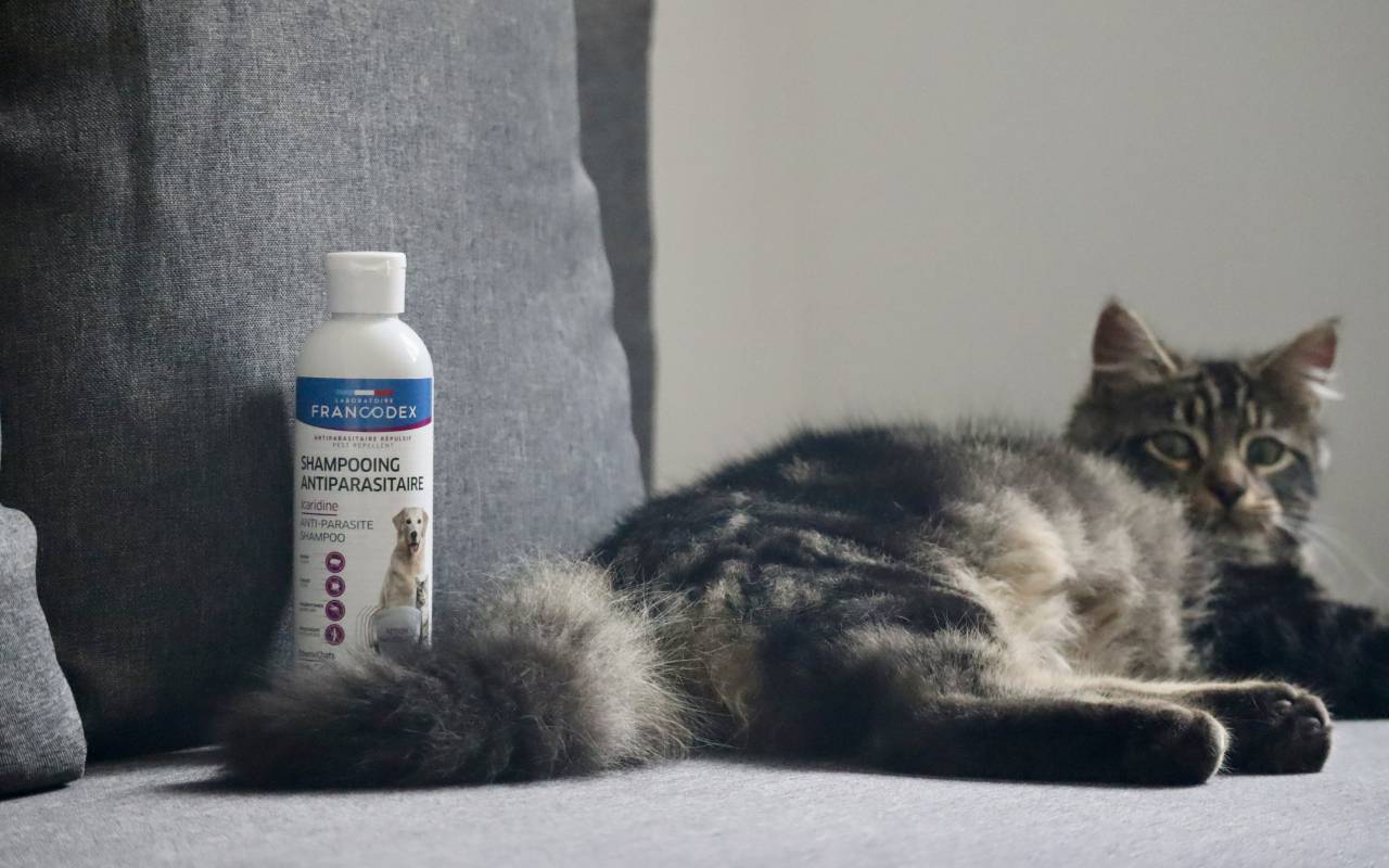 Shampooing, lotion et spray icaridine antiparasitaires | Francodex