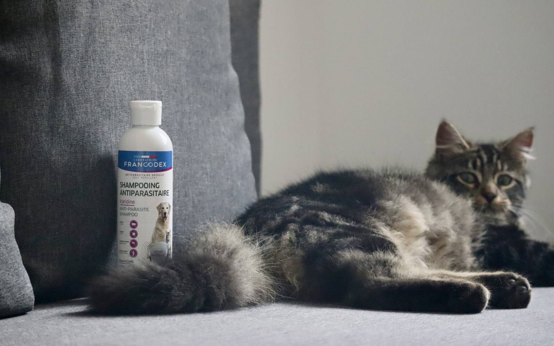 Shampooing, lotion et spray icaridine antiparasitaires | Francodex